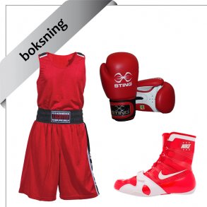 Find din kampsport